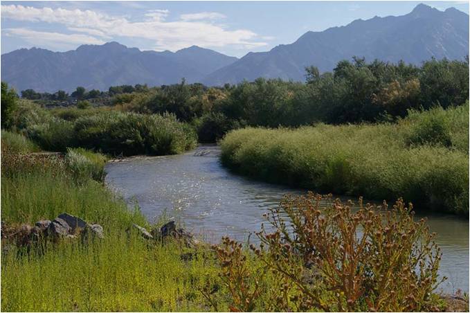 Reawakened Beauty: Place-Based Learning on the Jordan River - Urban ...
