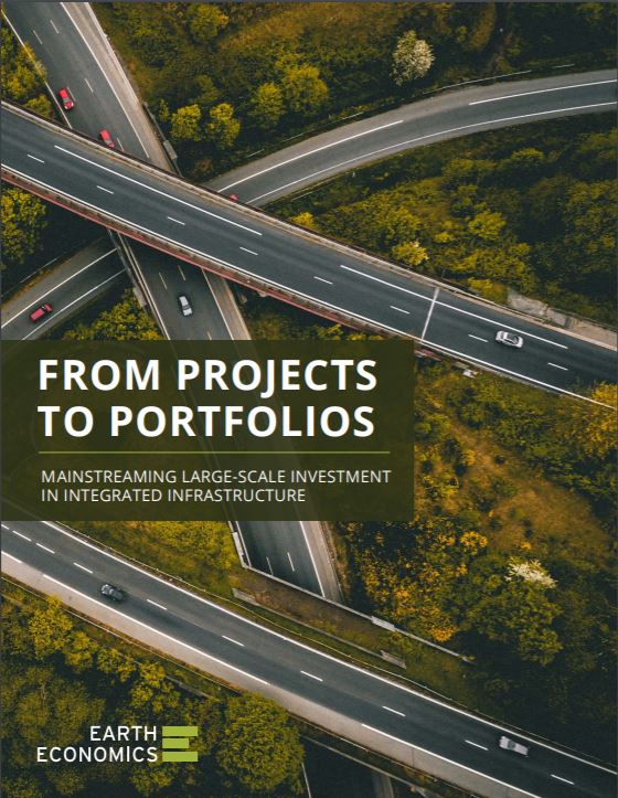 From Projects to Portfolios: Mainstreaming Large-Scale Investment in ...