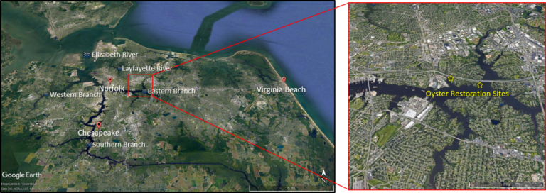 Bringing Oysters back to the Eastern Branch of the Elizabeth River ...